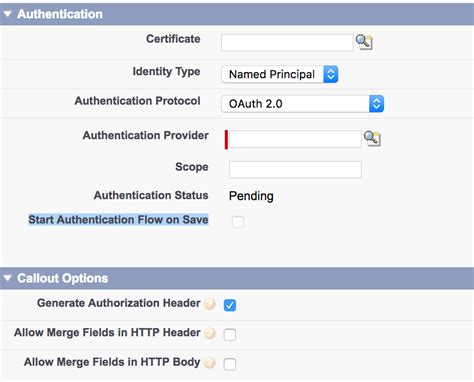 Apex Named Credential Determining If Named Principal Is