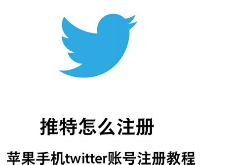 Tiktok运营工作内容有哪些？新手必知的tiktok运营工作内容 出海club