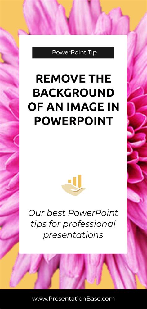 Powerpoint Tip Remove Background Powerpoint Tips Powerpoint