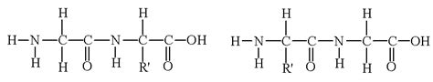 Dipeptide Structural Formula