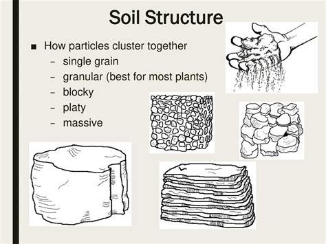 Soil Properties Essential Standard Explain The Role Of Nutrients And