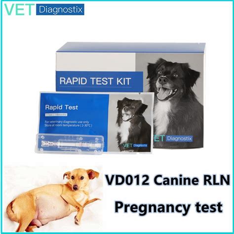 Canine Pregnancy Test Kit Canine Progesterone Rapid Test Pregnancy