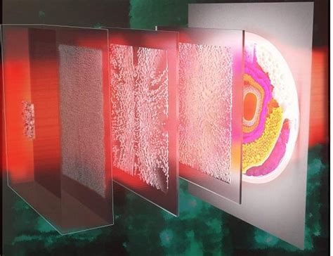 Biophotonics On Linkedin Deep Learning Trained Imager Magnifies Subwavelength Objects