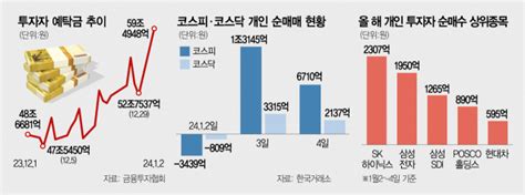 예탁금 새해 첫날 7조 쑥‘1월효과 노린 개미 21조 매수
