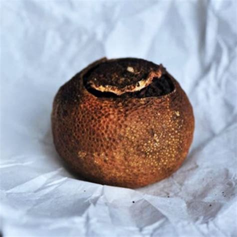 Ju Pu Cha Tea Journey