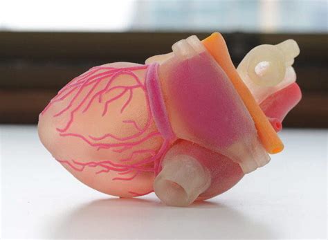 3d Printable Organs