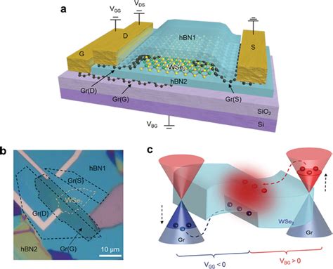 Device Geometry And Working Principle Of Wse2 Let A Schematic