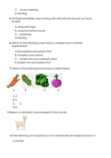 Grade 6 Agriculture And Nutrition Mid Term 2 Exam 2024 2683