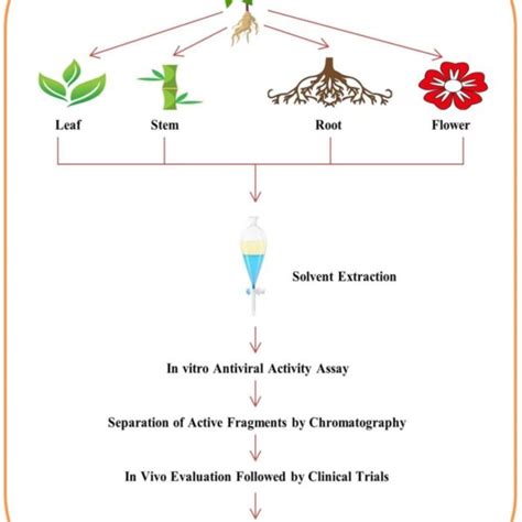 Phytocompounds Extracted From Various Plant Parts Using Different