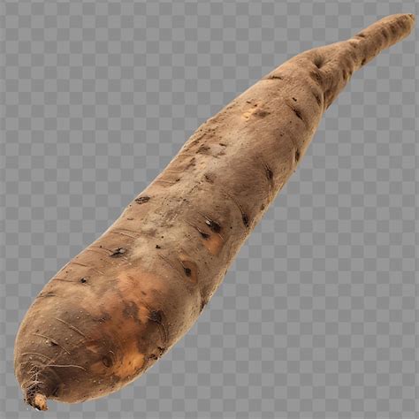Premium Psd Yams Root Vegetable Elongated Form Photo By Its Bro