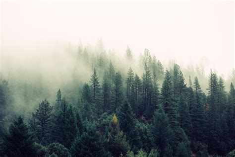 Fog Wallpapers HD PixelsTalk Net