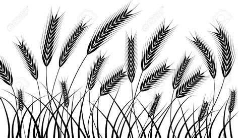 Wheat Stalk Vector At Collection Of Wheat Stalk