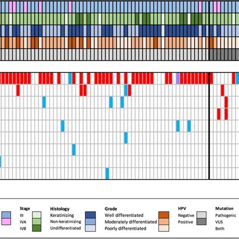 Next Generation Sequencing Ngs Coverage Comparison Of Manual