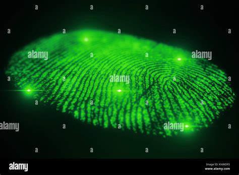 3D Illustration Fingerprint Scanning Identification System