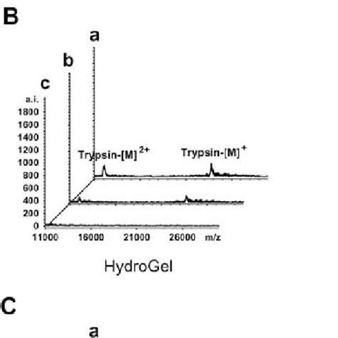 Protein Binding Capacity Of Three Microarray Substrates The Mass