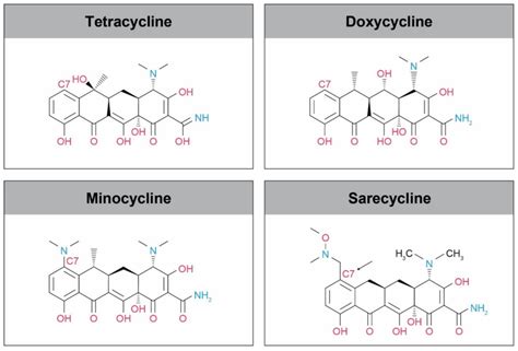 Chemical Structures Of The Different Tetracycline Class Drugs Used For Download Scientific