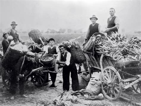 Лясковец За общината Статии