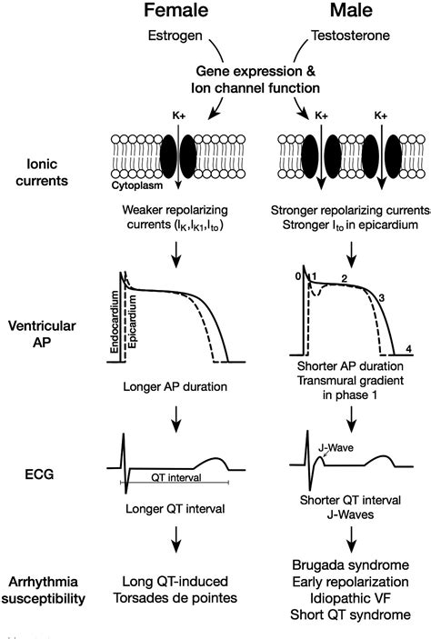 Sex And Racial Disparities In Catheter Ablation Heart Rhythm O2