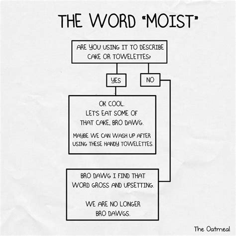 The Word Moist A Flowchart The Oatmeal