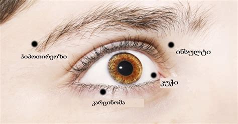 რას გვაუწყებენ თვალები 8 საყურადსაღებო ნიშანი რომლიც უნდა გაითვალისწინოთ სასარგებლო რჩევები
