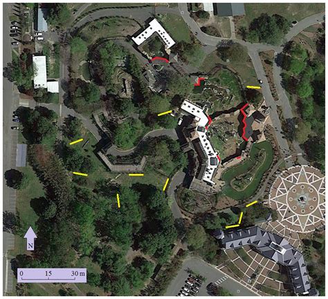 Local Avian Density Influences Risk Of Mortality From Window Strikes