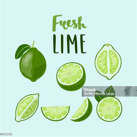 Abaw 레터링으로 전체와 슬라이스 라임의 집합입니다 밝은 녹색 감귤 류 벡터 일러스트입니다 라임에 대한 스톡 벡터 아트 및 기타 이미지 Istock