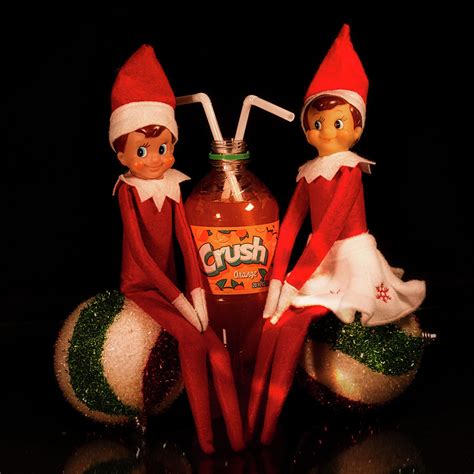 Elf Crush Photograph By David Mezzoprete Fine Art America