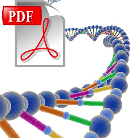 Superstain Dna Marker