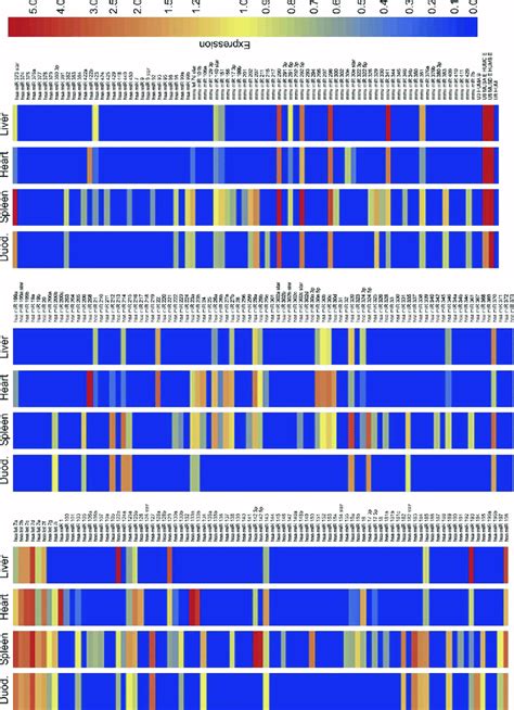Genome Wide Mirna Profiling Using Michip Mirna Expression Profiles Download Scientific Diagram