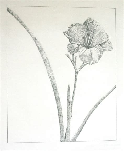 Art By Vreeke Sba Assignment 1 Drawing