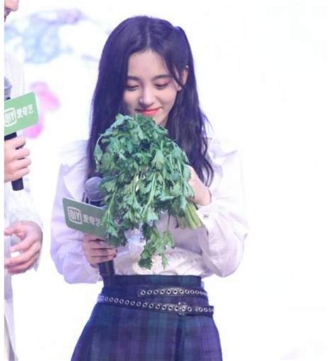 鞠婧禕參加《芸汐傳》見面會 拿著粉絲送的芹菜很開心 每日頭條