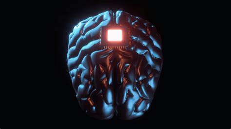 Elon Musk Company Implants Chip In Pigs Brain Modern Farmer