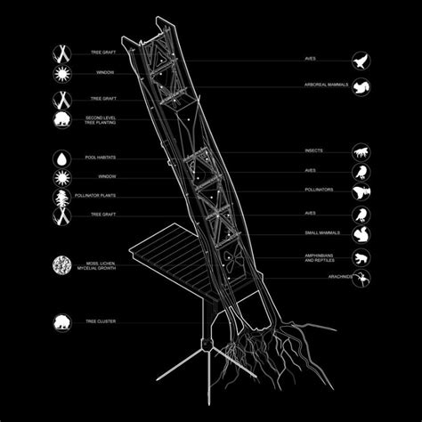 Alive And Growing Architectures Made Of Trees Domus