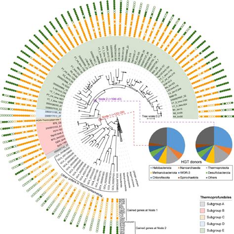 Ancestral Genome Content Reconstruction And Hgt Donor Predictions Of