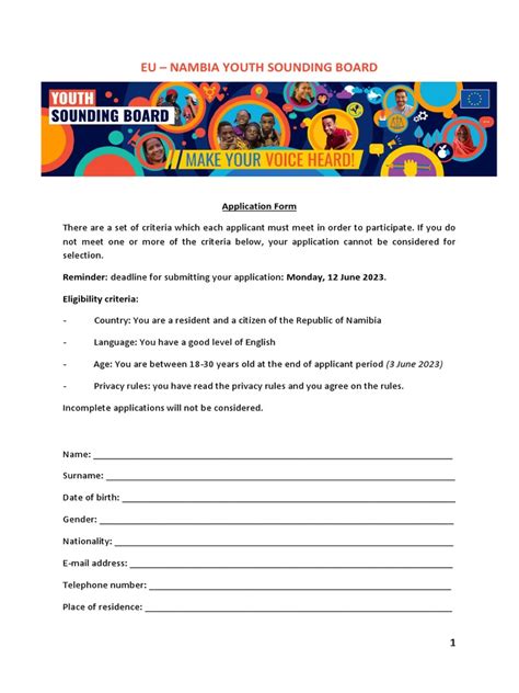 Eu Namibia Ysb Application Form Pdf Empowerment