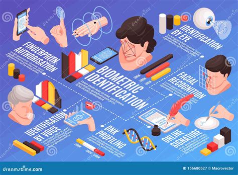Isometric Biometrics Infographic Flowchart Vector Illustration 250233984