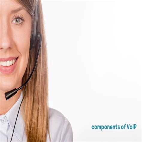 what are the components of voip laditech