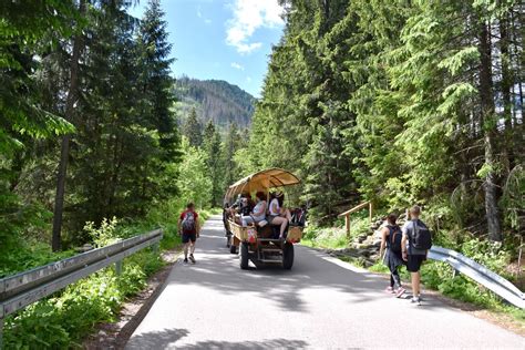 Konie Nie Kursowa Y Nad Morskie Oko Niebywa E Co Zrobili Tury Ci O