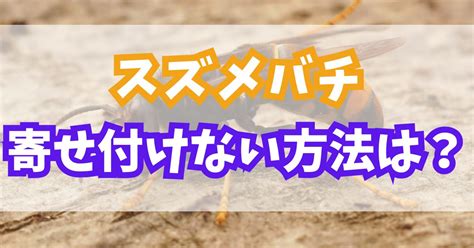 【現役駆除業者が】スズメバチを寄せ付けない方法を徹底解説！ ハチの巣駆除サービス