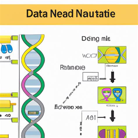 How Does DNA Make A Copy Of Itself Exploring The Process Of DNA Replication The Enlightened