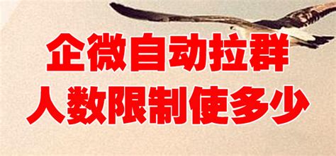 企业微信自动拉群人数限制是多少？如何设置自动拉群？ 知乎