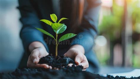 Education Launches A Career Choice Of Future Profession Growth Of