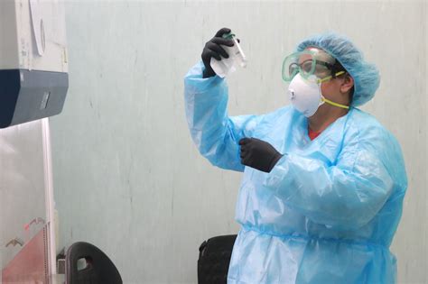 No Existen Casos De Cólera En Bcs El Organismo