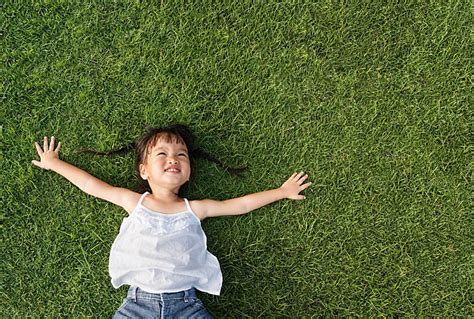 The Best Shade Tolerant Grass Varieties You Need To Know Turfandtill