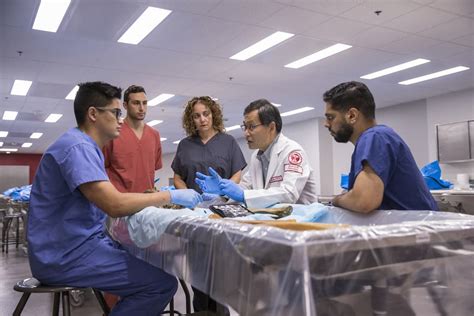 Become A Doctor Of Podiatric Medicine Explore Pod Med