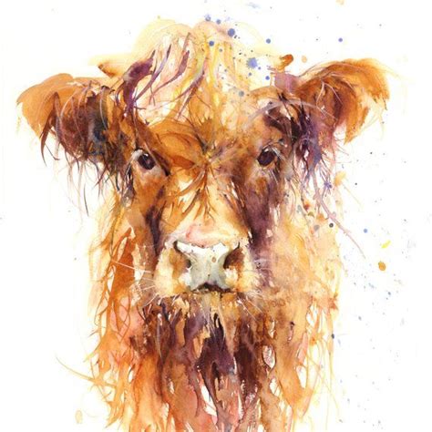 Kuh Aquarell Kunstdruck Bunte Tierkunst Etsy Highland Cow Painting