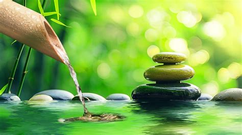 Relaxing Music Relieves Stress Anxiety And Depression 🌿 Heals The Mind