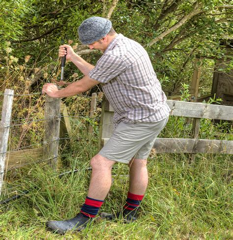 Remove An Old Fence To Make Room For The New One
