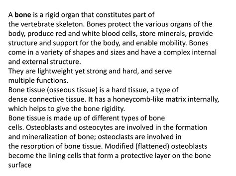 Solution Anatomy Of Bones Classification Of Bones On The Basis Of