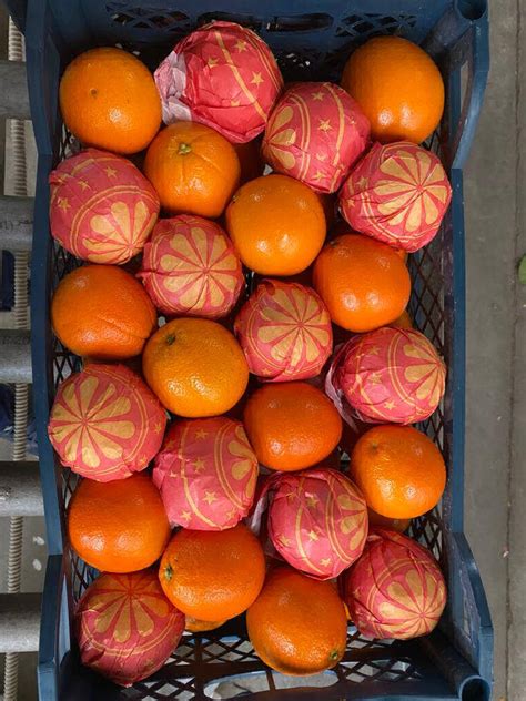 Orange Exporters In Egypt Oranges Prices Hitac Trading Company